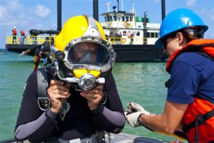 Pulp & Paper - UCC Dive